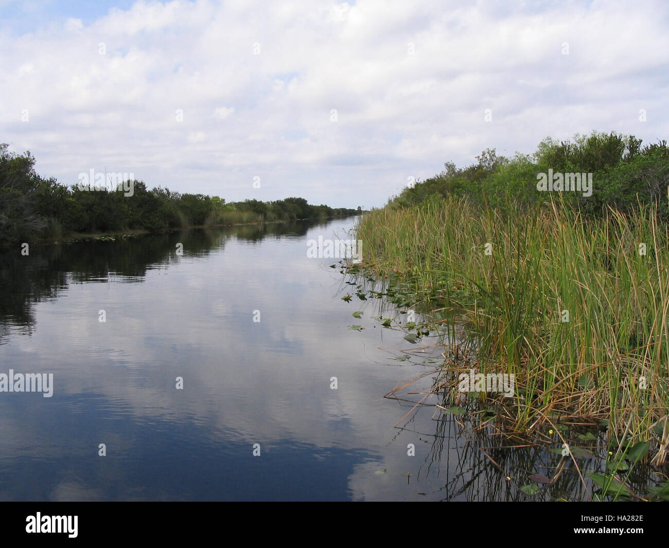 The L-67 Canal in Everglades National Park is an important waterway ...