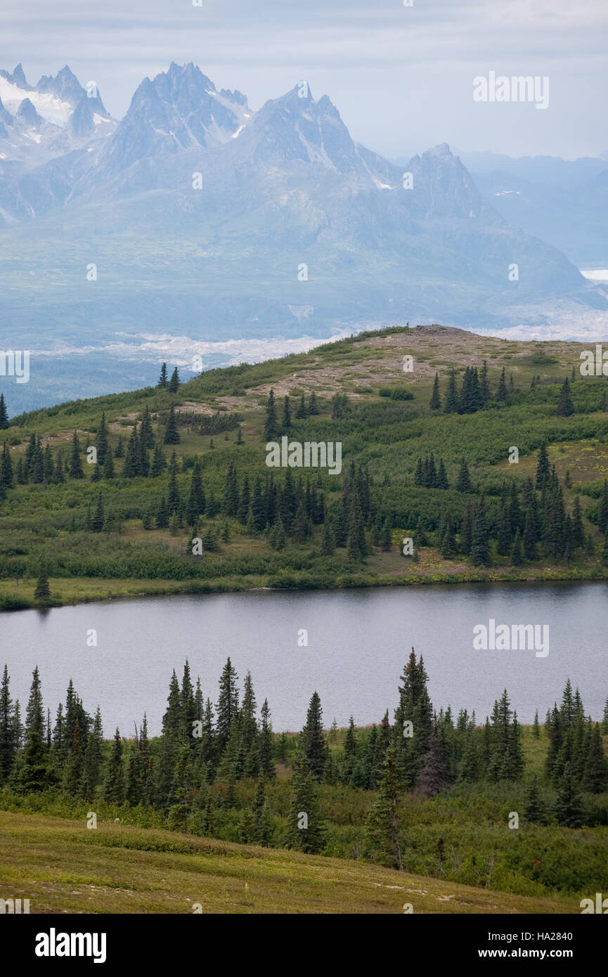 Denali National Park’s South Side offers dramatic landscapes, wildlife ...