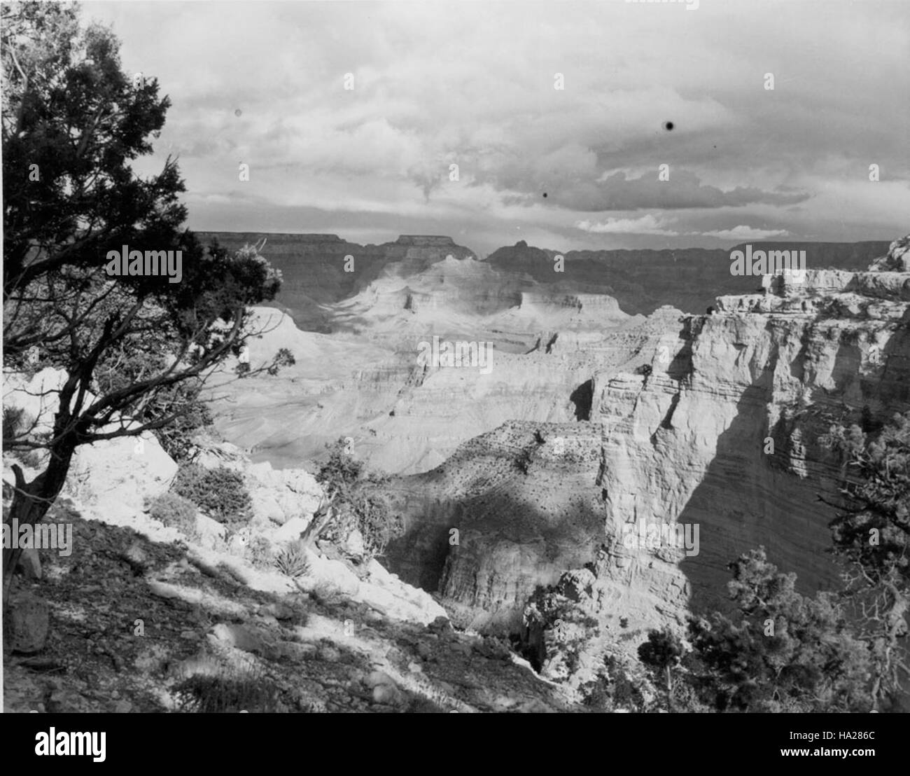 A view from Powell Point along the South Rim of the Grand Canyon ...