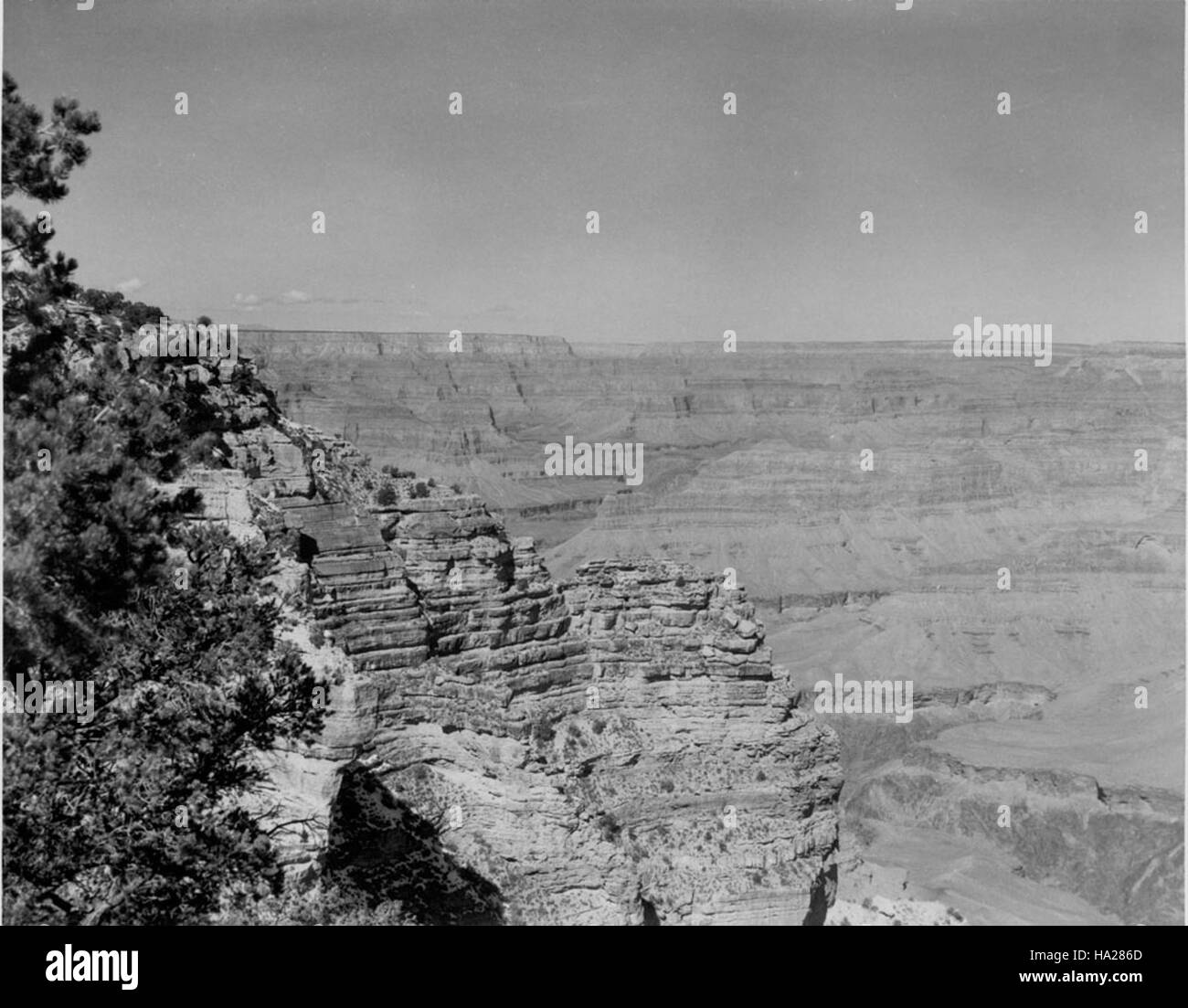Powell point grand canyon Black and White Stock Photos & Images - Alamy