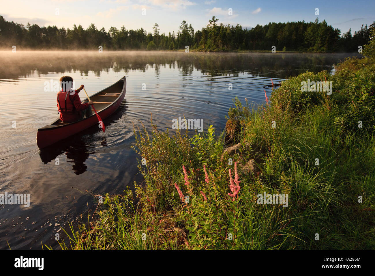 A man canoes on Little Bear Brook Pond in New Hampshire's North Woods ...