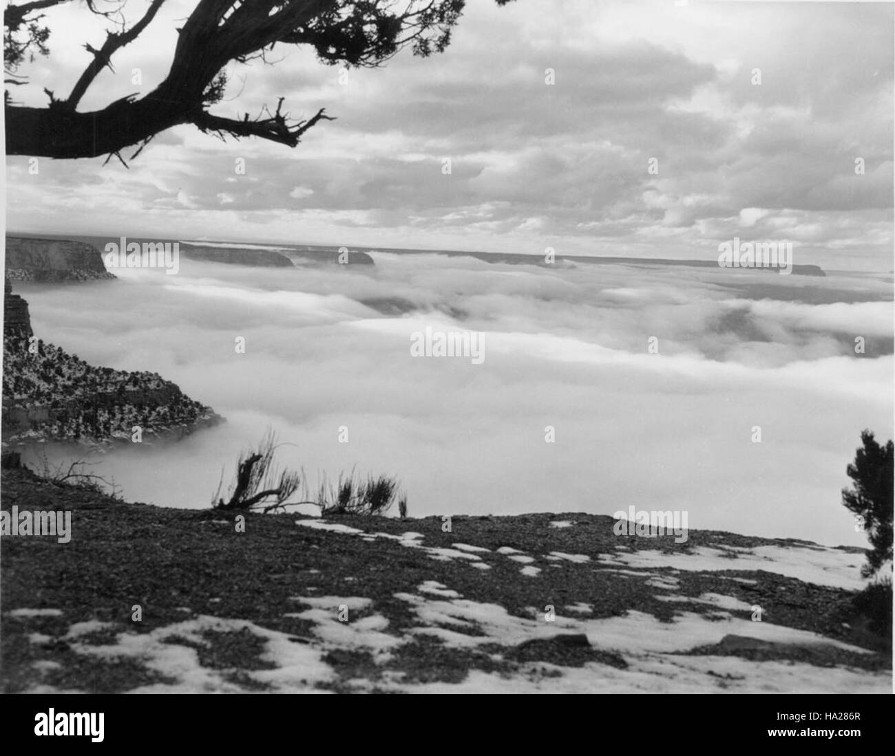 Image captures scientific study Black and White Stock Photos & Images ...