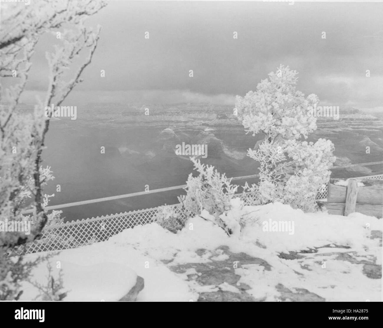 Southern ecosystem Black and White Stock Photos & Images - Alamy