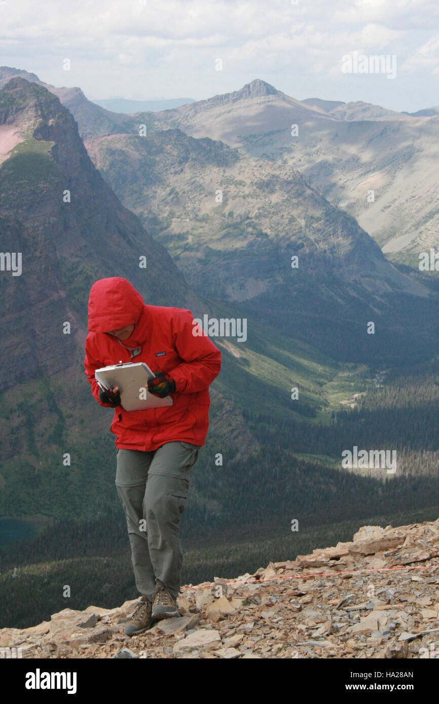 The G.L.O.R.I.A. project at Glacier National Park surveys vegetation to ...