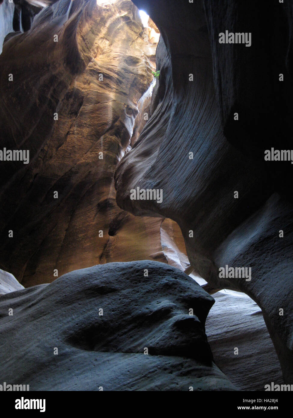 Slot Canyon in Zion National Park offers a unique natural landscape ...