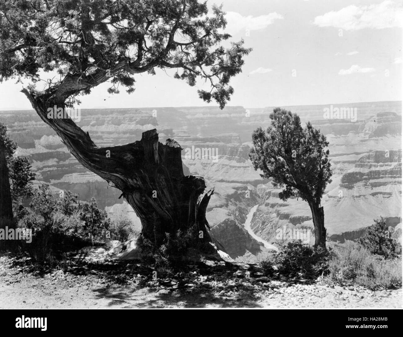 Mohave Point in the Grand Canyon offers breathtaking views and ...