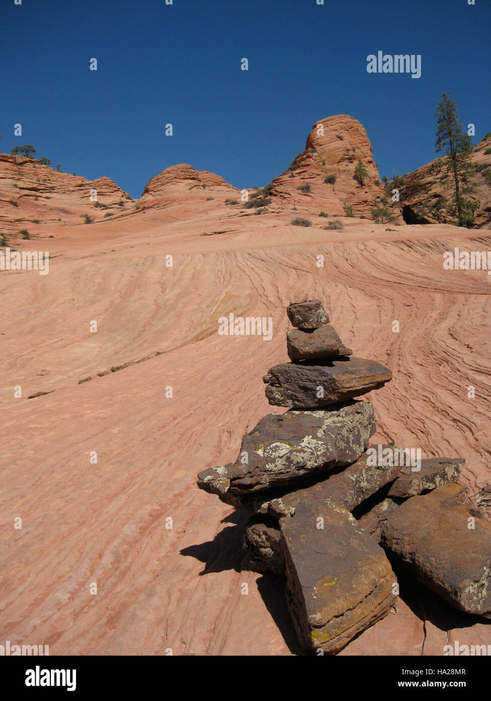 A backcountry cairn, or rock pile, in a national park, guiding hikers ...