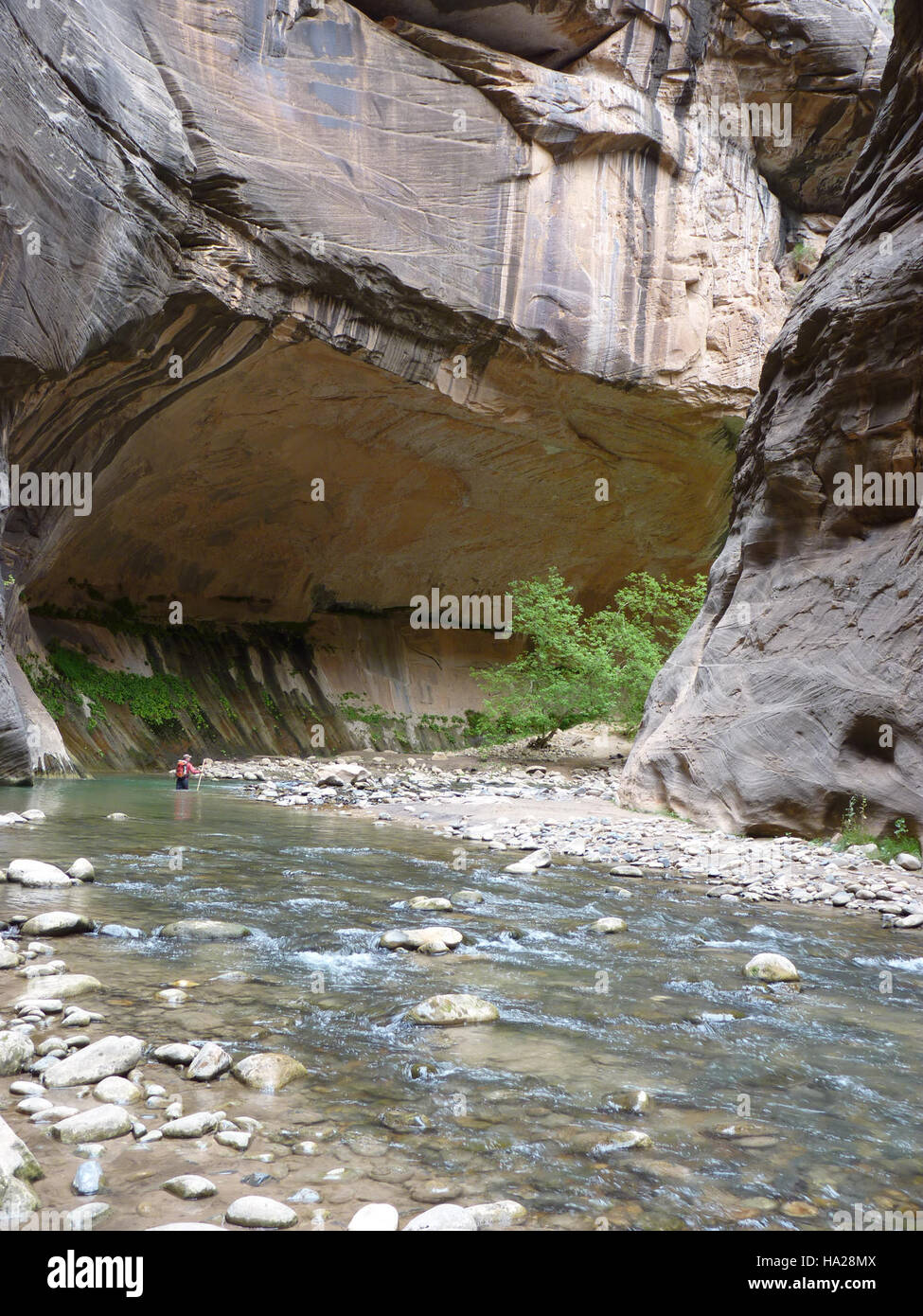 The Alcove in The Narrows of Zion National Park is a stunning natural ...