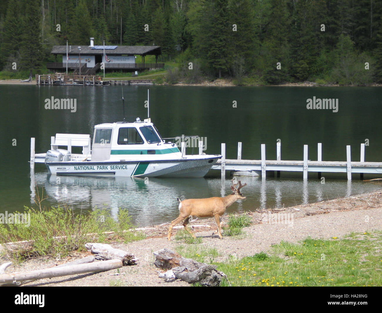 At Glacier National Park’s Goat Haunt, visitors enjoy the park's ...