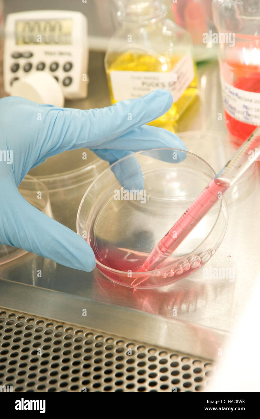 The USDA’s Agricultural Research Service (ARS) and the Food Safety and ...