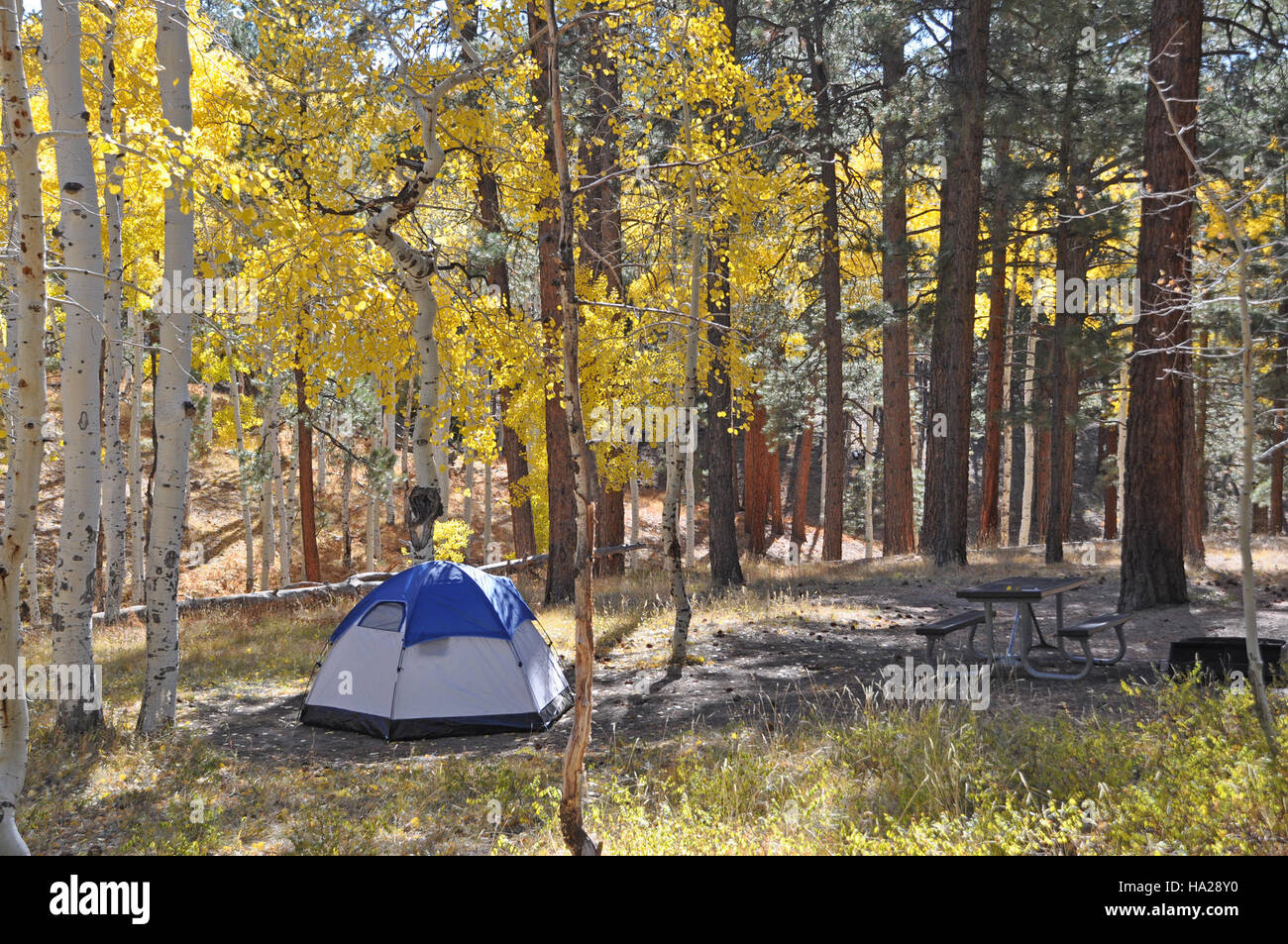 The North Rim Campground at Grand Canyon National Park offers visitors ...