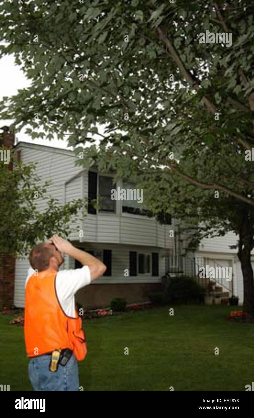 The U.S. Department of Agriculture (USDA) facilitates agricultural ...