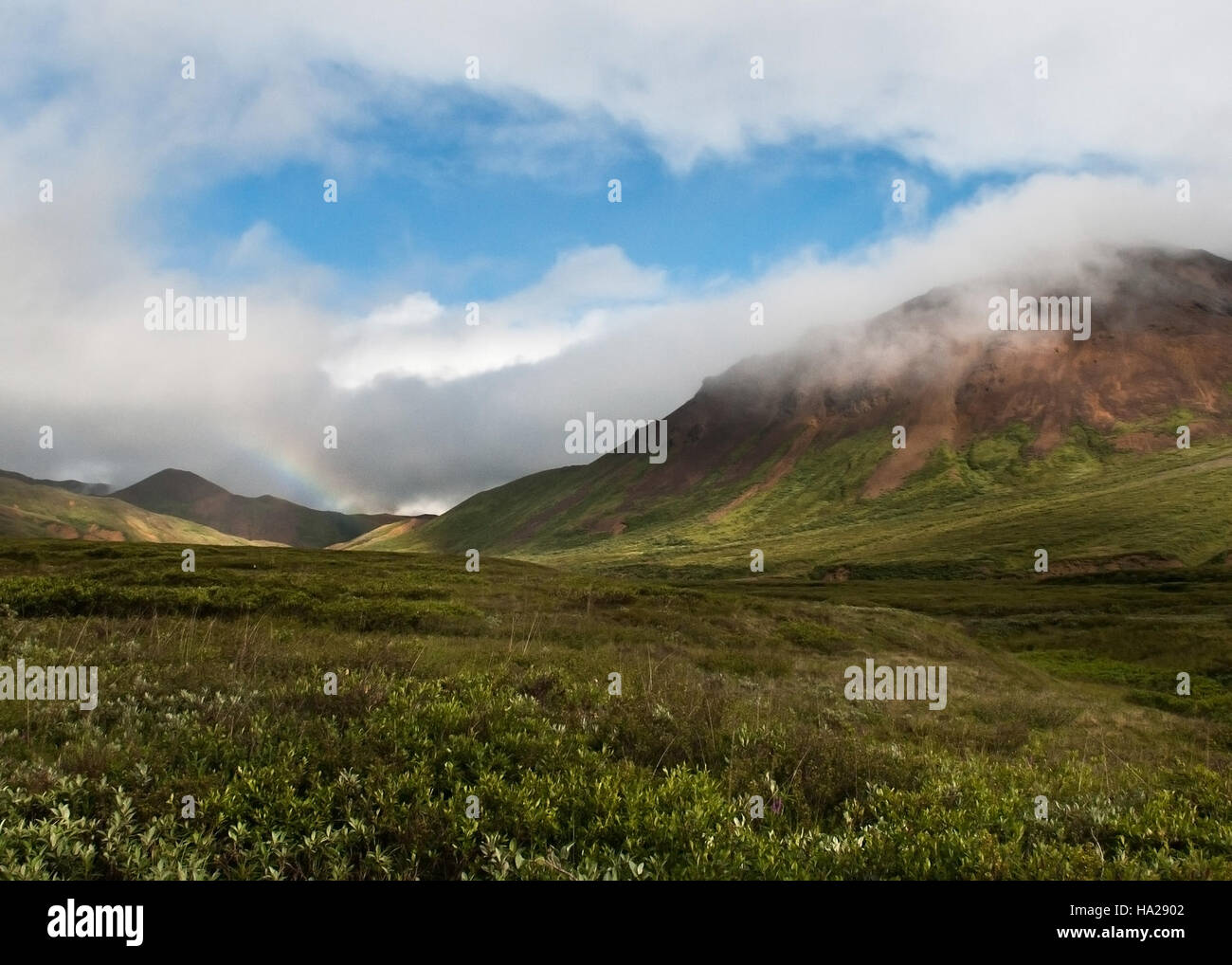 The Eielson Corridor in Denali National Park, Alaska, is a renowned ...