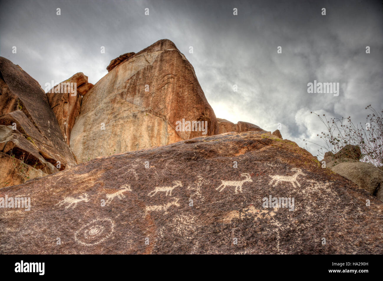 Petroglyphs at Grapevine Canyon, Nevada, featuring ancient rock ...