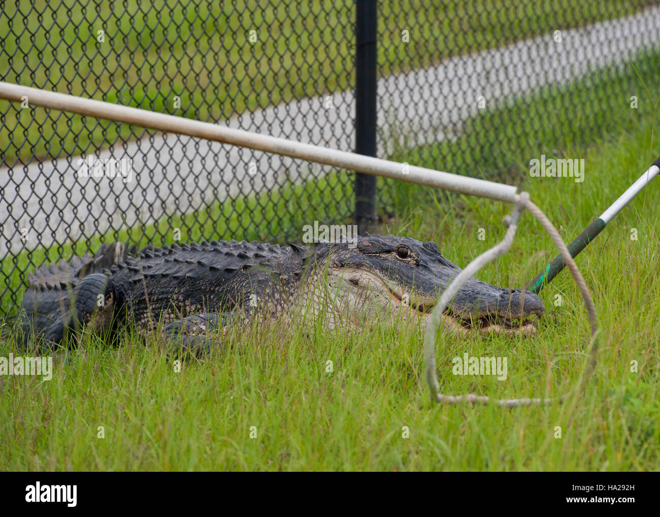The USDA plays a key role in the conservation and management of ...