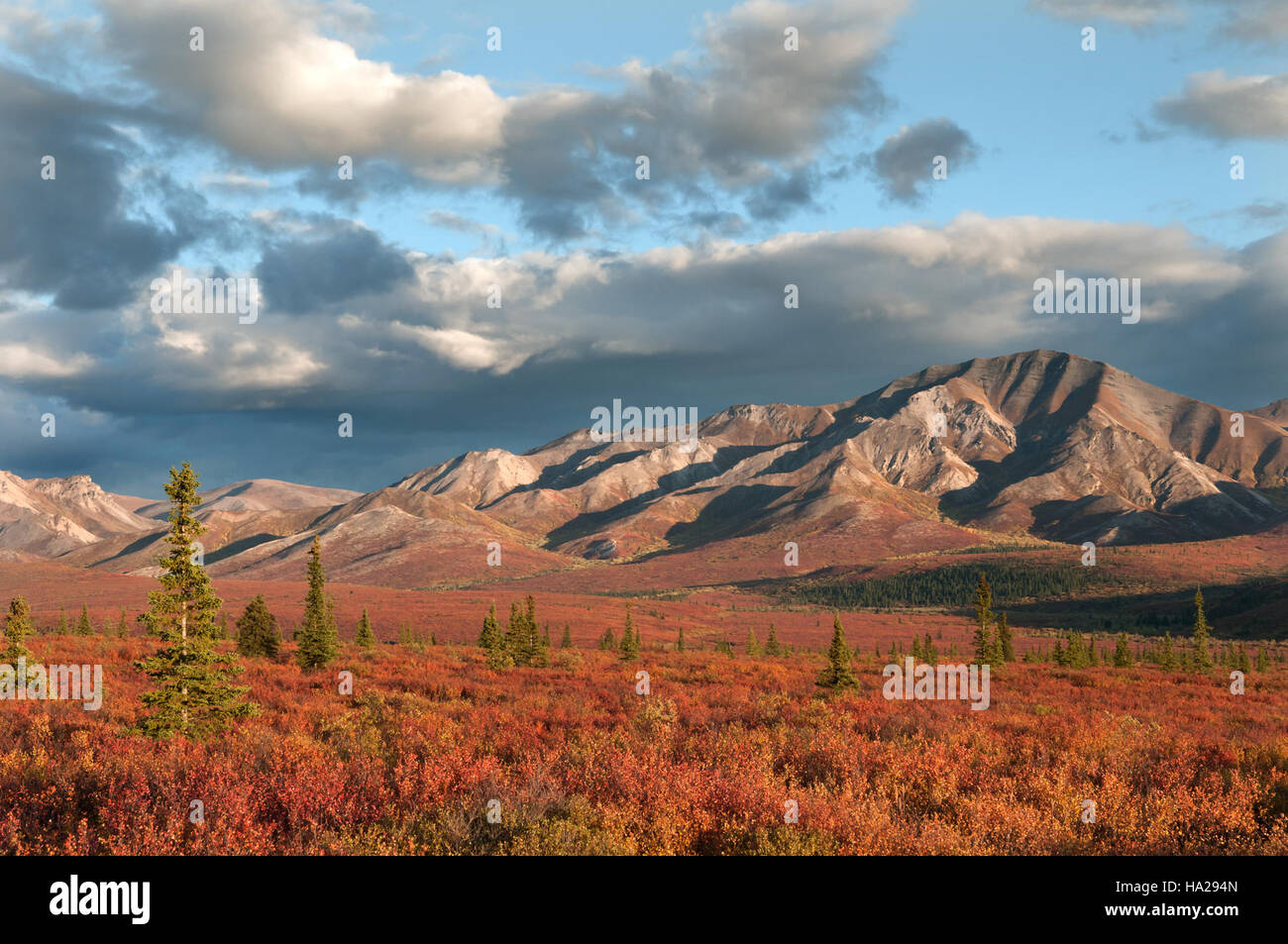 The Front Country in Denali National Park offers stunning views of the ...