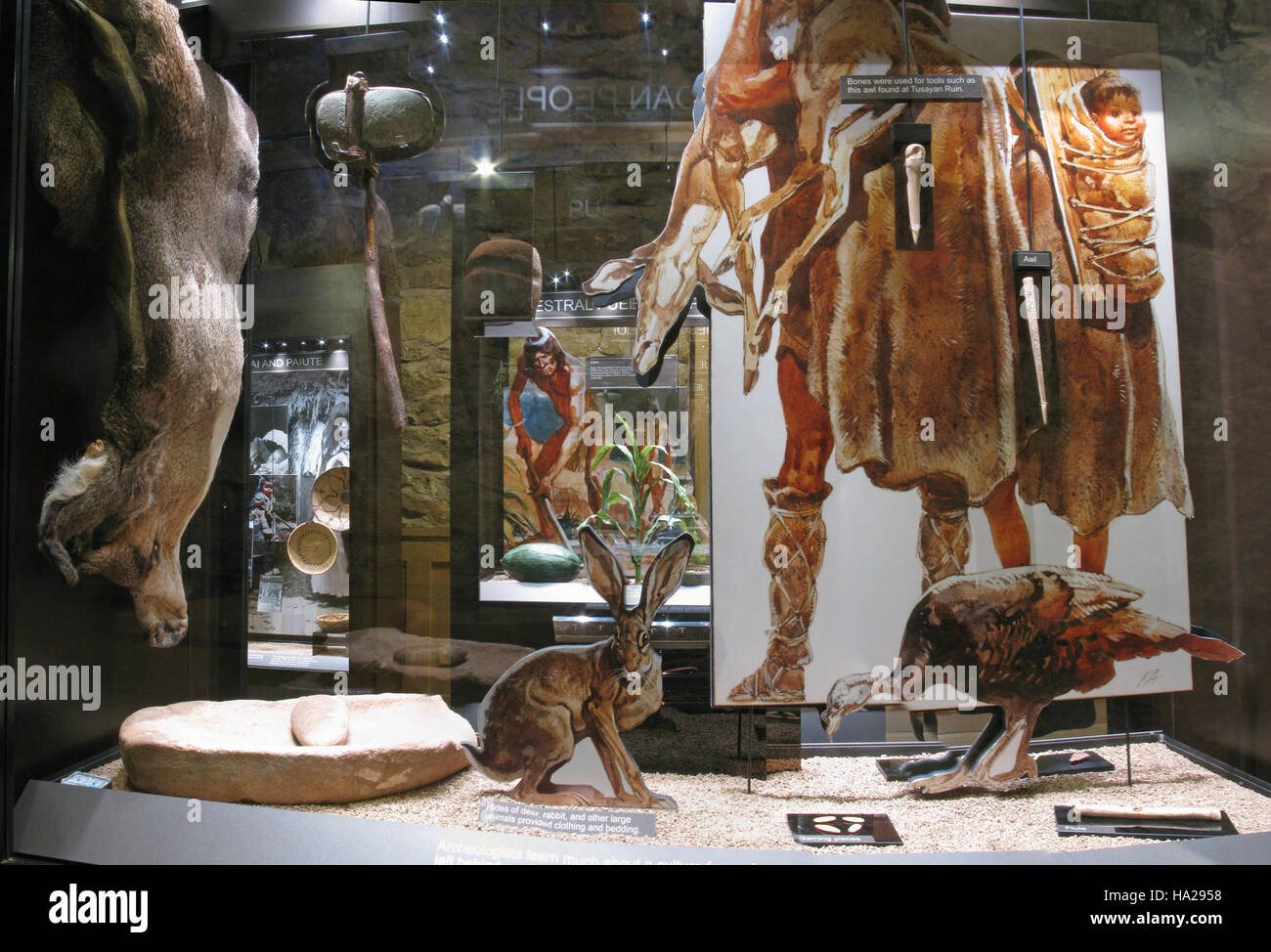 The Grand Canyon National Park, featuring the Tusayan Museum, showcases ...