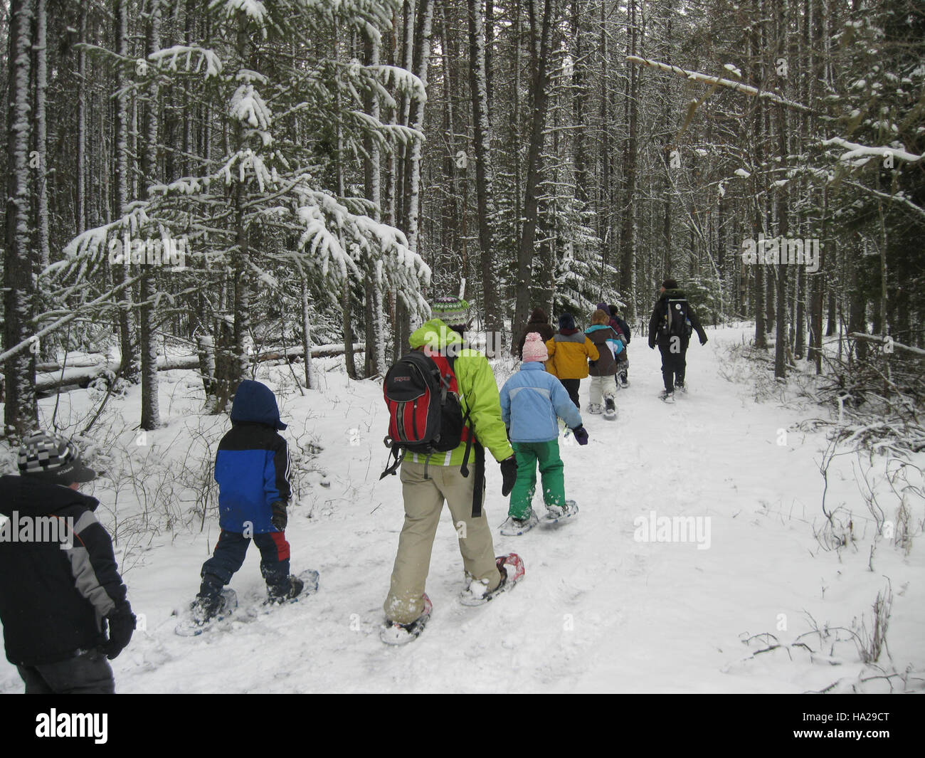 Winter Ecology Education at Glacier National Park provides visitors ...