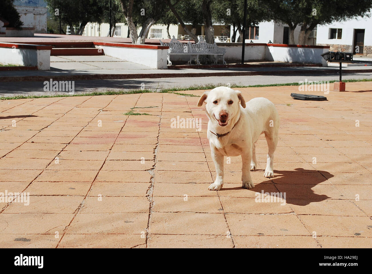 The Anza Trail crosses into Tubutama, Sonora, Mexico, highlighting the ...