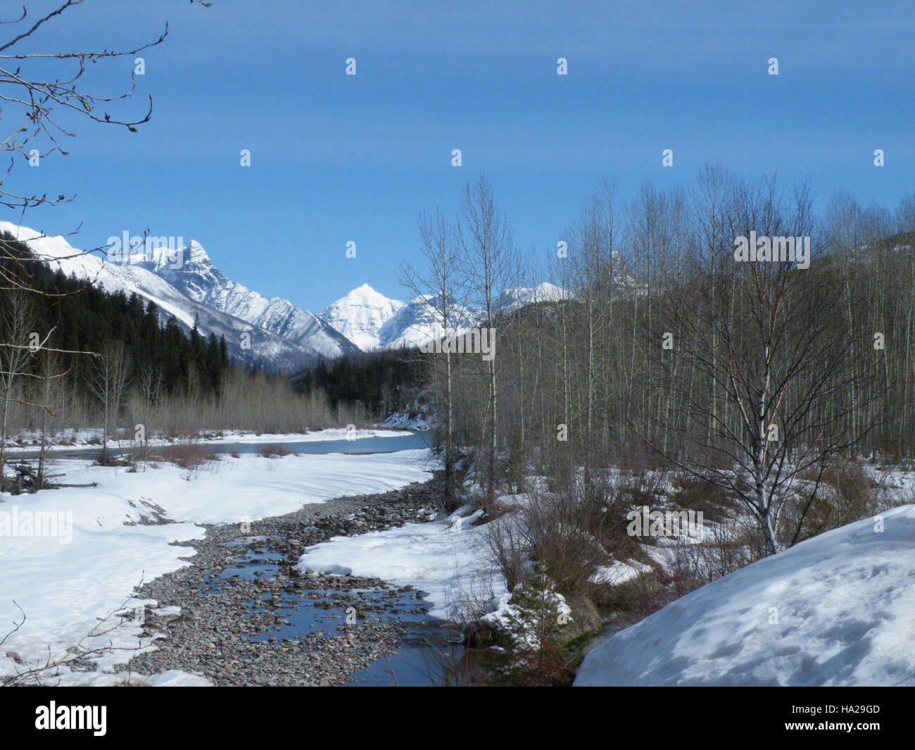 The Middle Fork of the Flathead River, located in Glacier National Park ...
