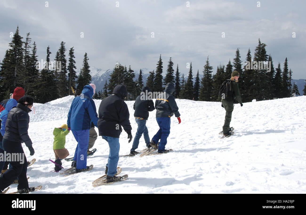 The photo depicts a ranger-led snowshoe walk in Olympic National Park ...