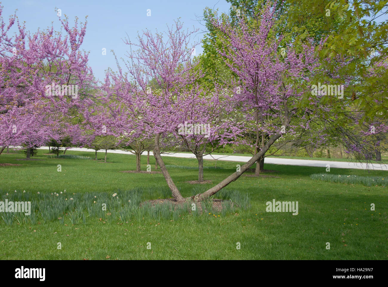 Heart health park hi-res stock photography and images - Alamy