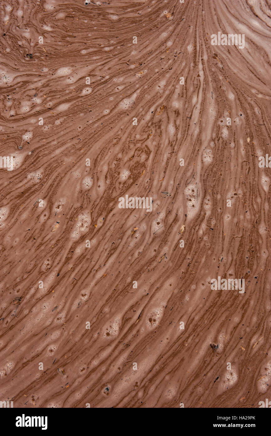 Foam swirls in an eddy at Arches National Park, highlighting the ...