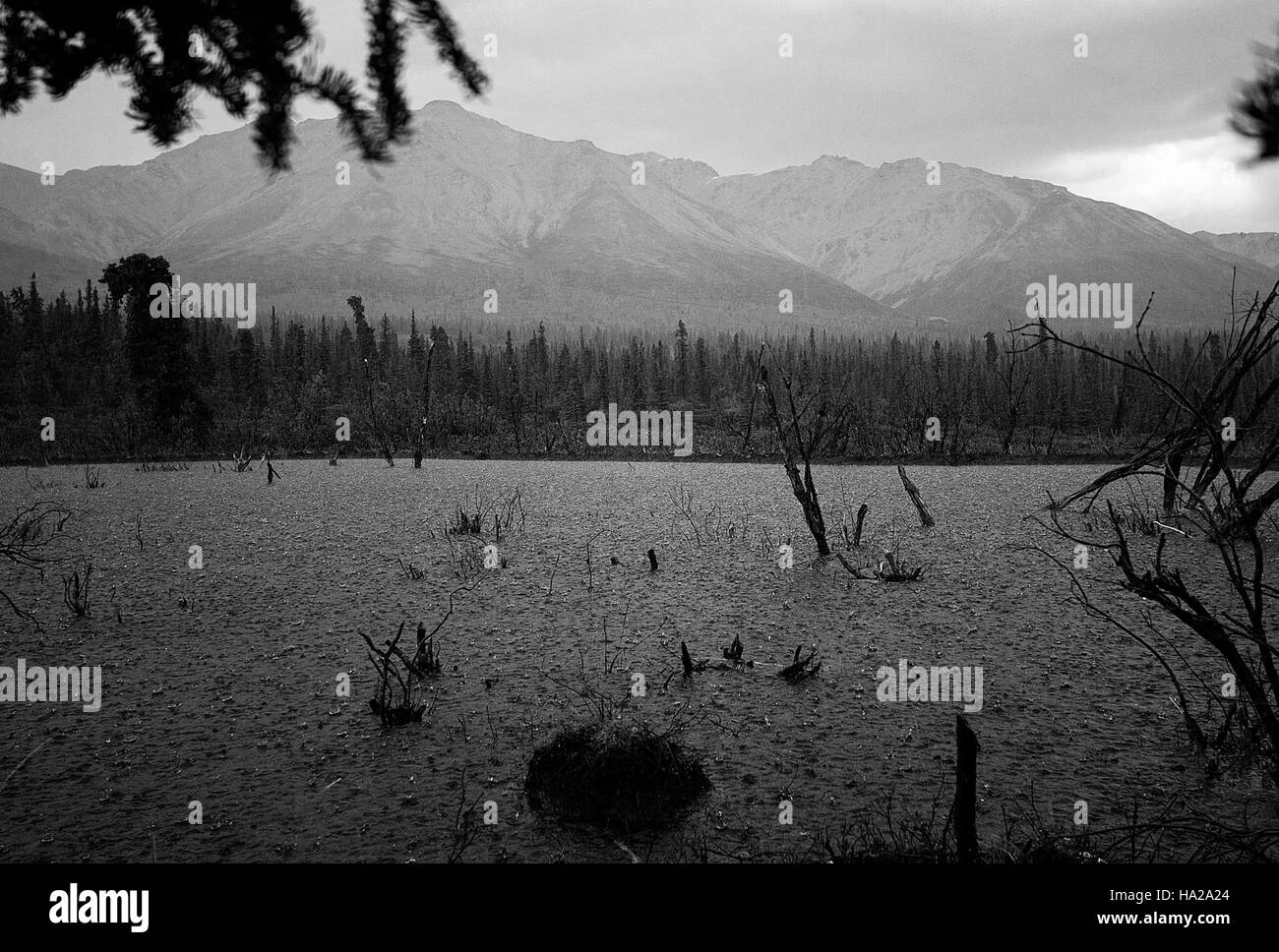 Hard rain hi-res stock photography and images - Alamy