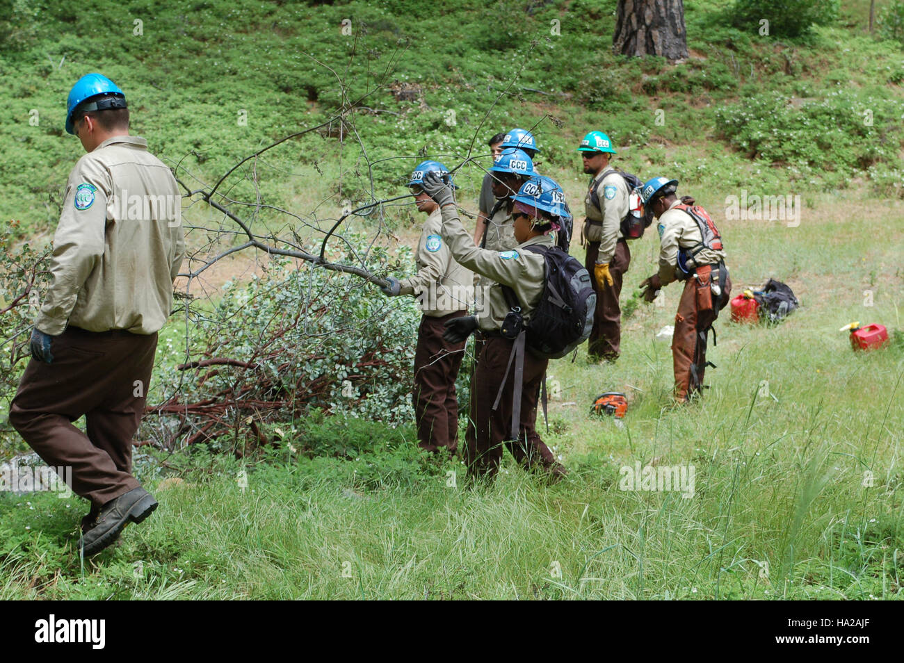 A California Conservation Corps crew works on land restoration efforts ...