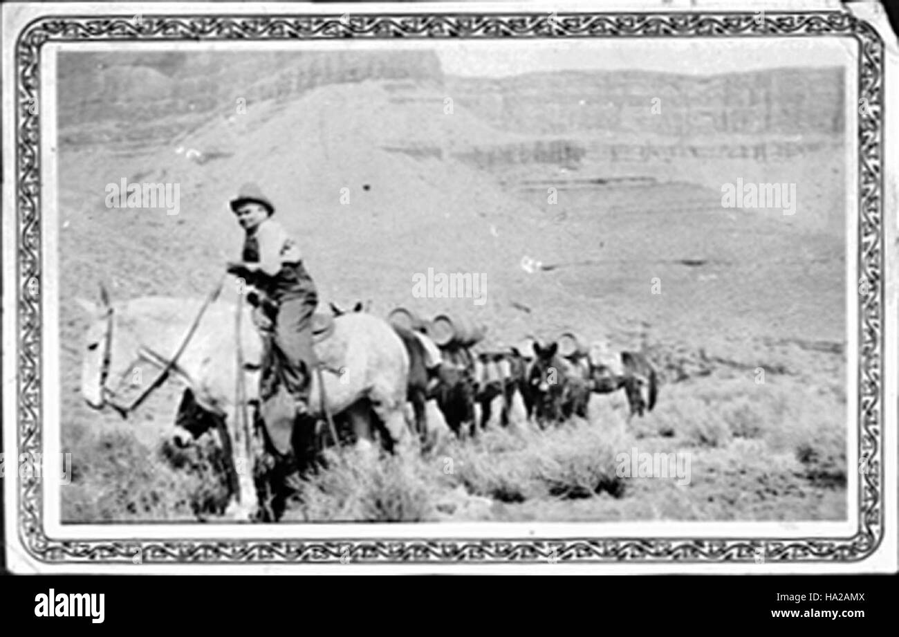 Mule packer hi-res stock photography and images - Alamy