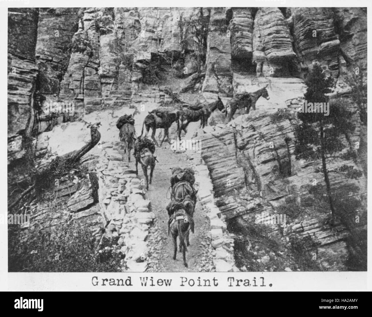 The Grand Canyon Historic Grandview Trail offers visitors a historic ...