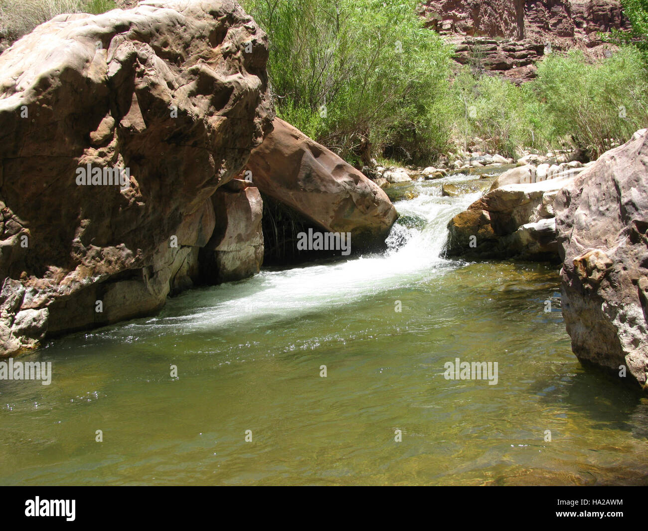 grand canyon nps 5076913596 034 Grand Canyon Humpback Chub ...