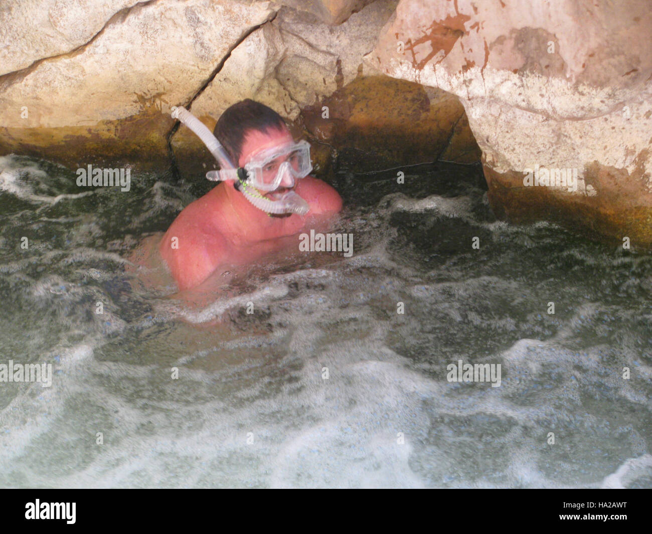 Humpback chub hi-res stock photography and images - Alamy