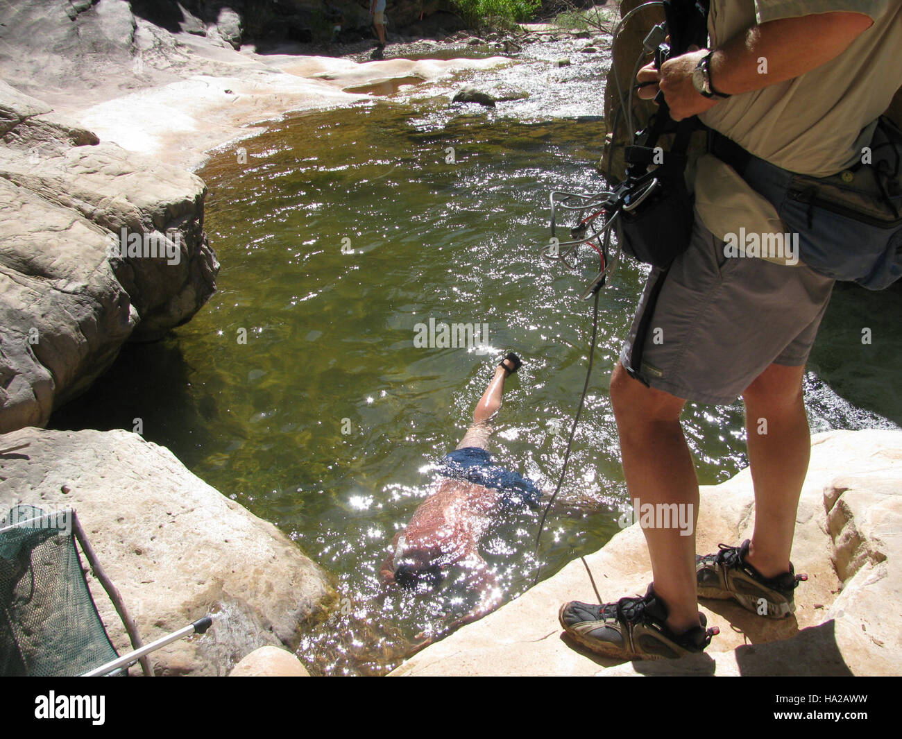 A U.S. National Park Service photo documenting the translocation of ...