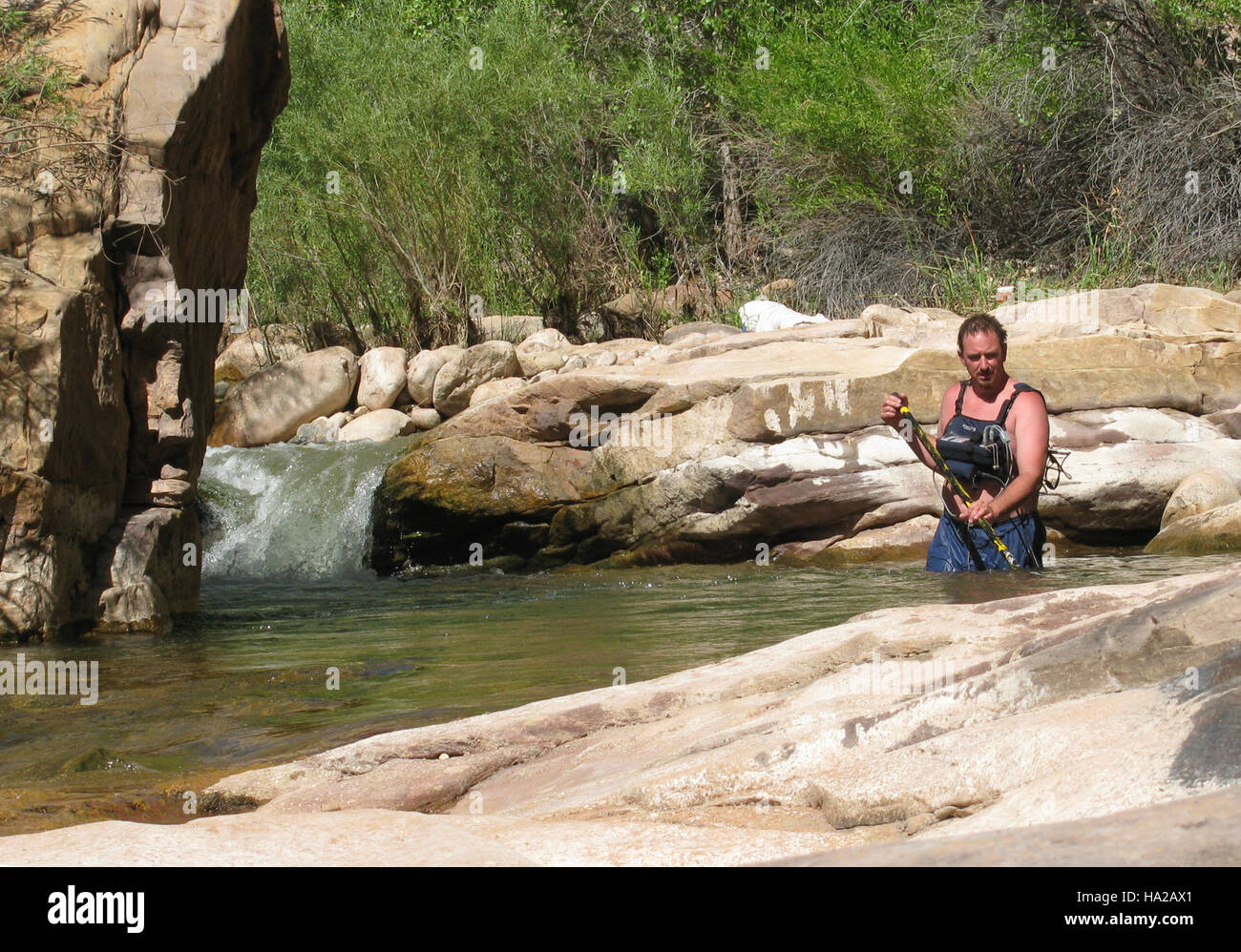 The Grand Canyon National Park's Humpback Chub Translocation program ...