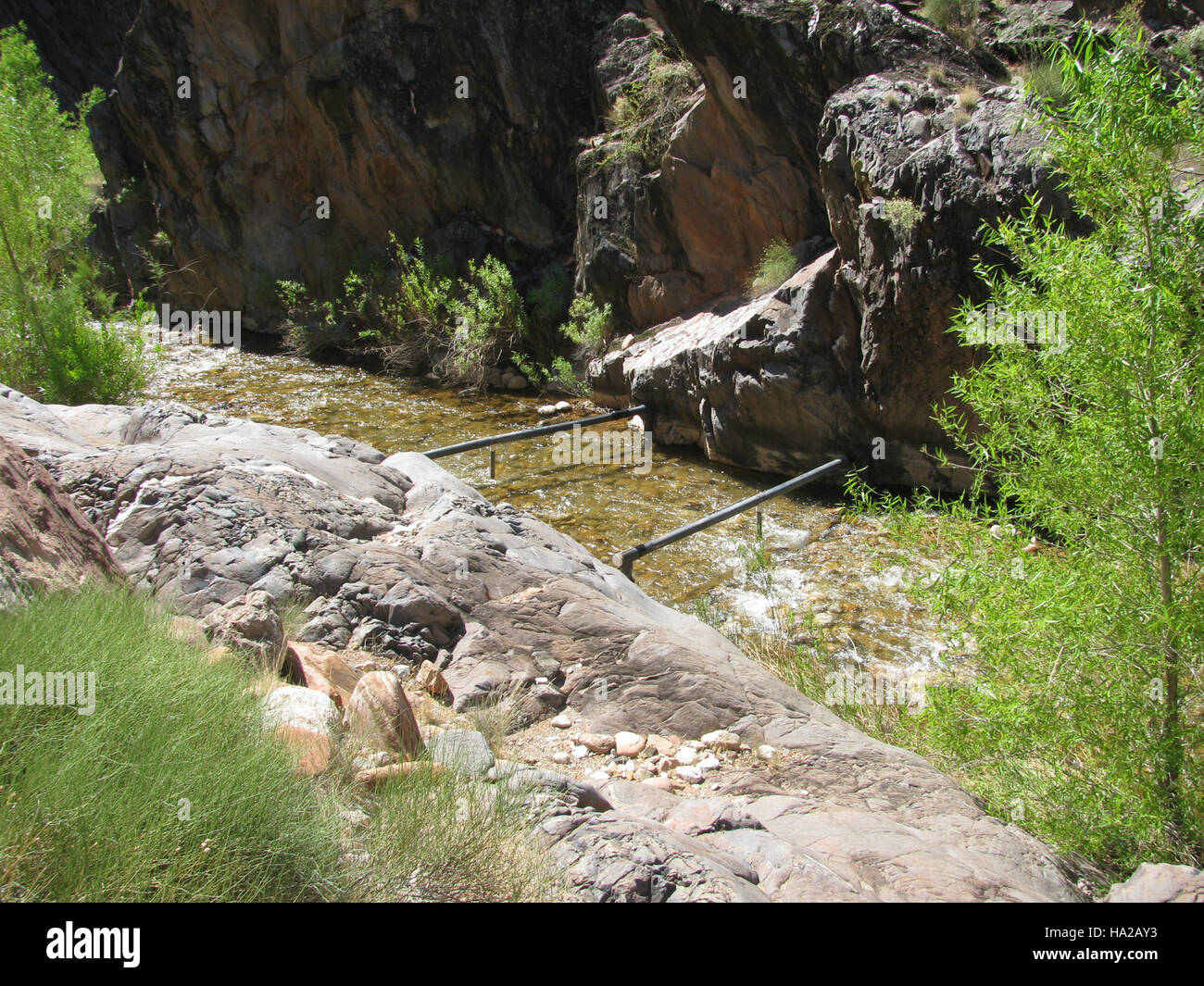 This image from the National Park Service shows the translocation of ...
