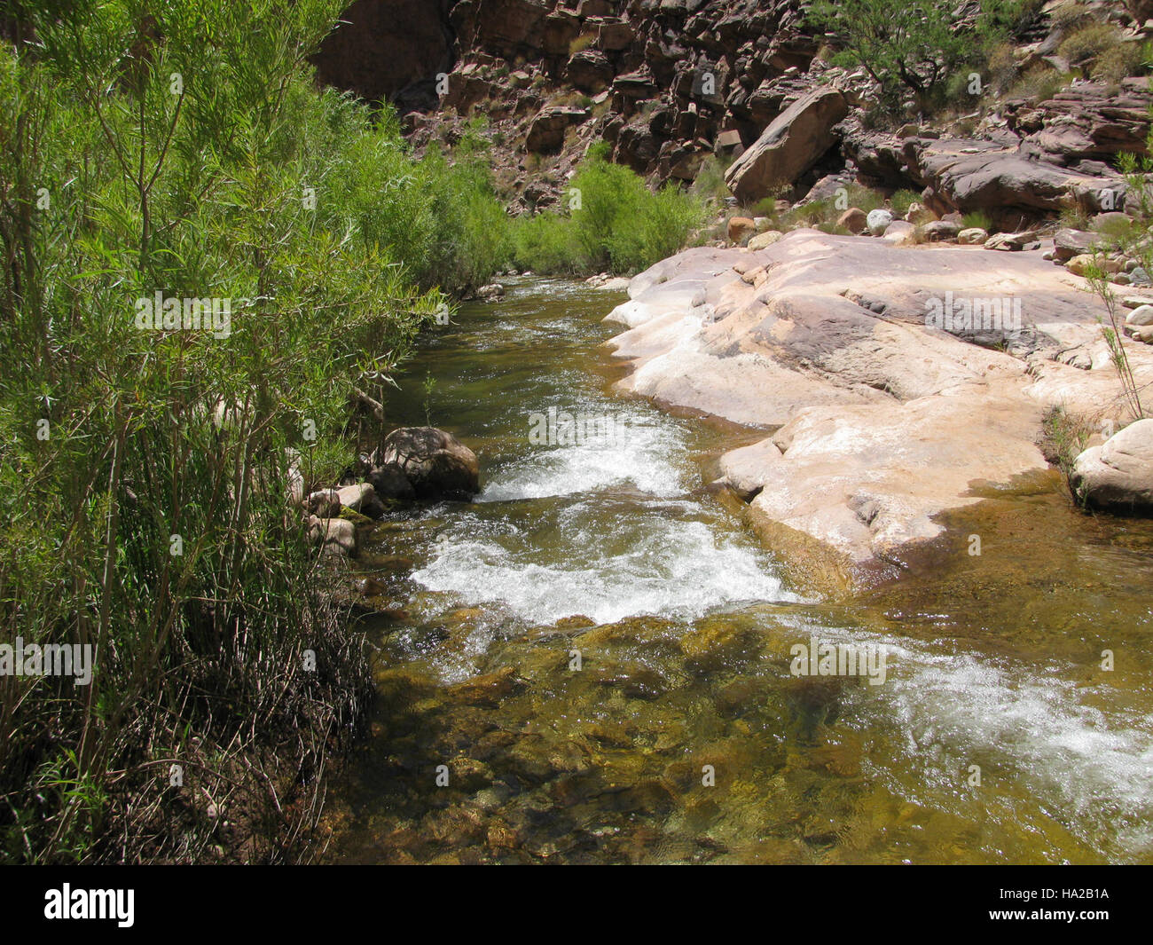The Grand Canyon Humpback Chub Translocation project involves ...