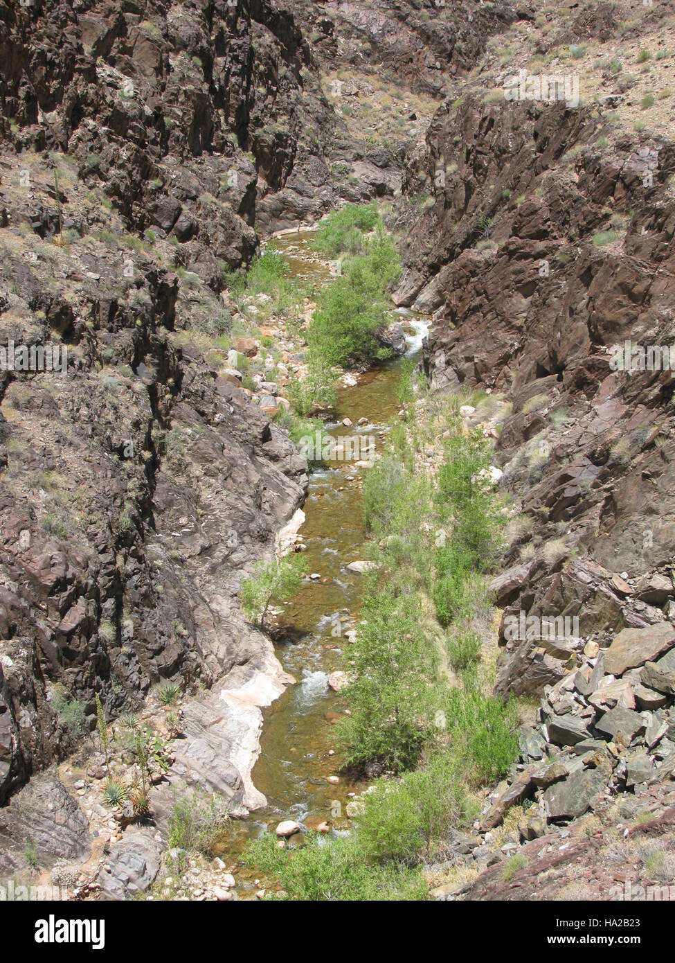 This image documents the translocation project of Humpback Chub fish in ...