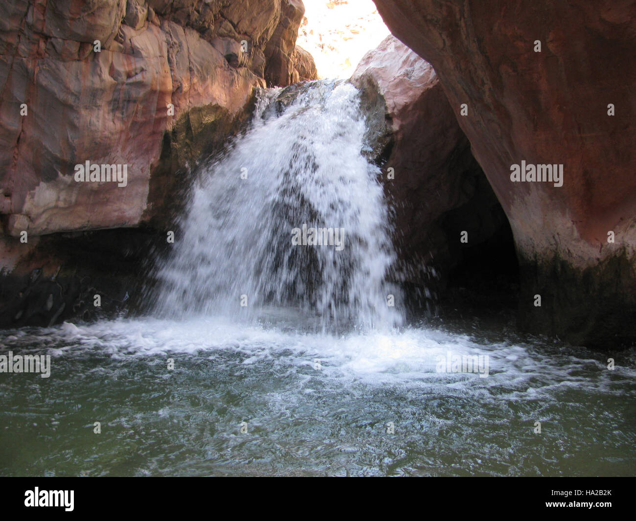 This National Park Service image captures the translocation of the ...