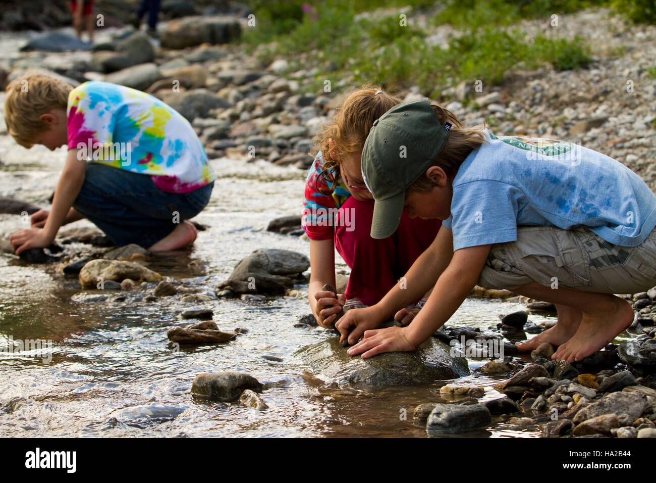 'Denalinps 8571563711 Science for Fun' is an educational project ...