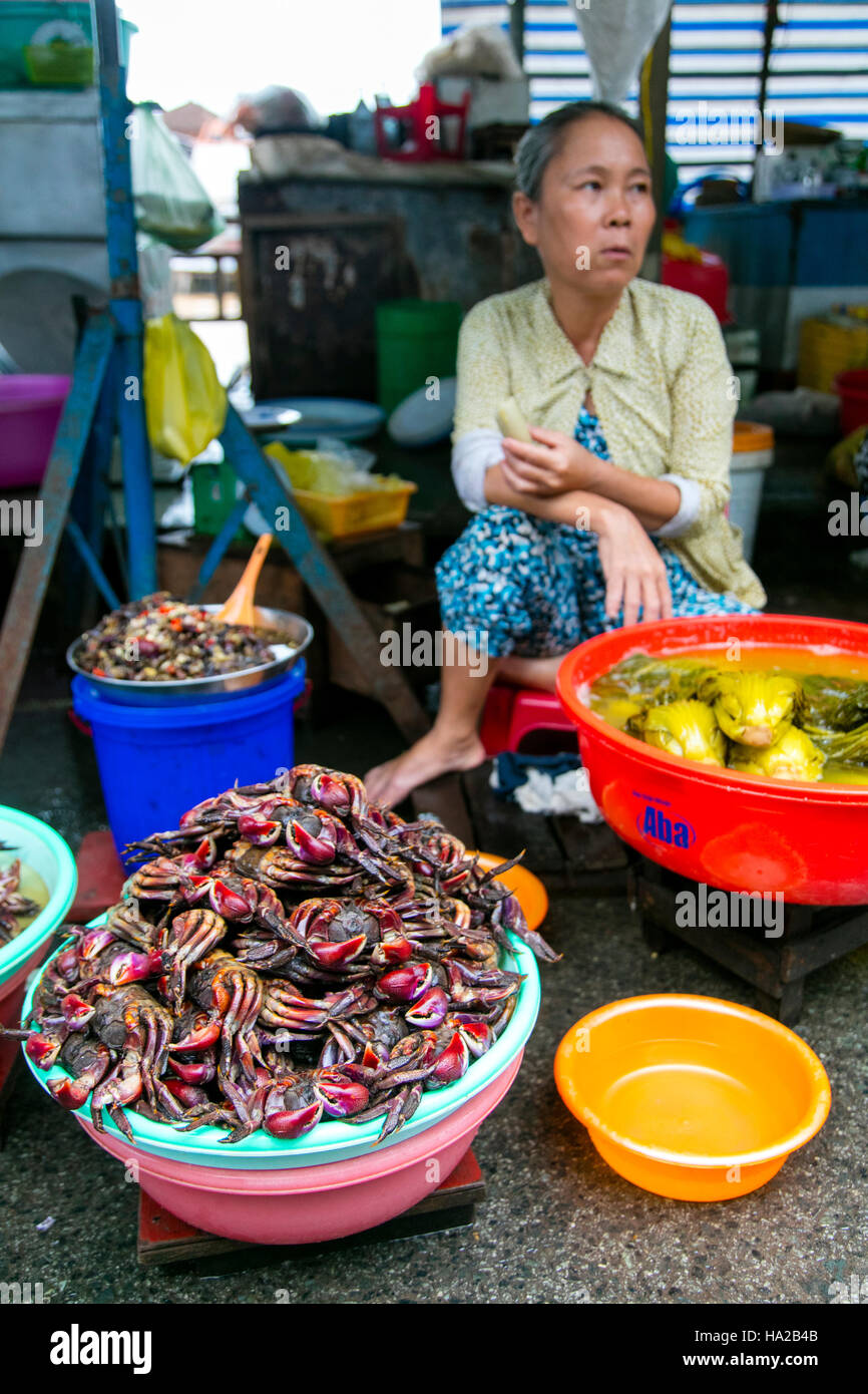 Market, Sa Dec, Mekong River, Vietnam, Asia Stock Photo - Alamy