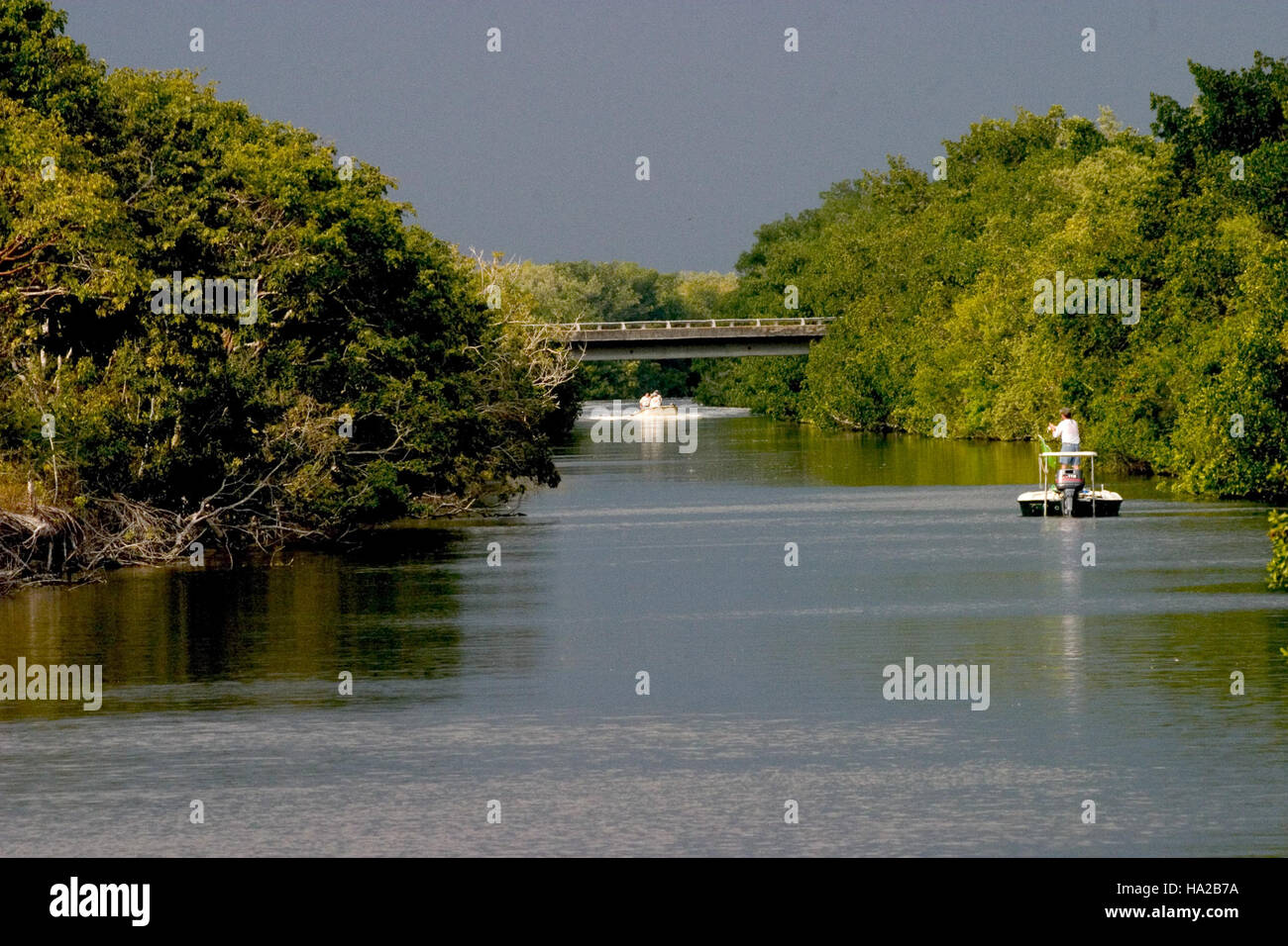 A photograph from Everglades National Park captures a stunning view of ...