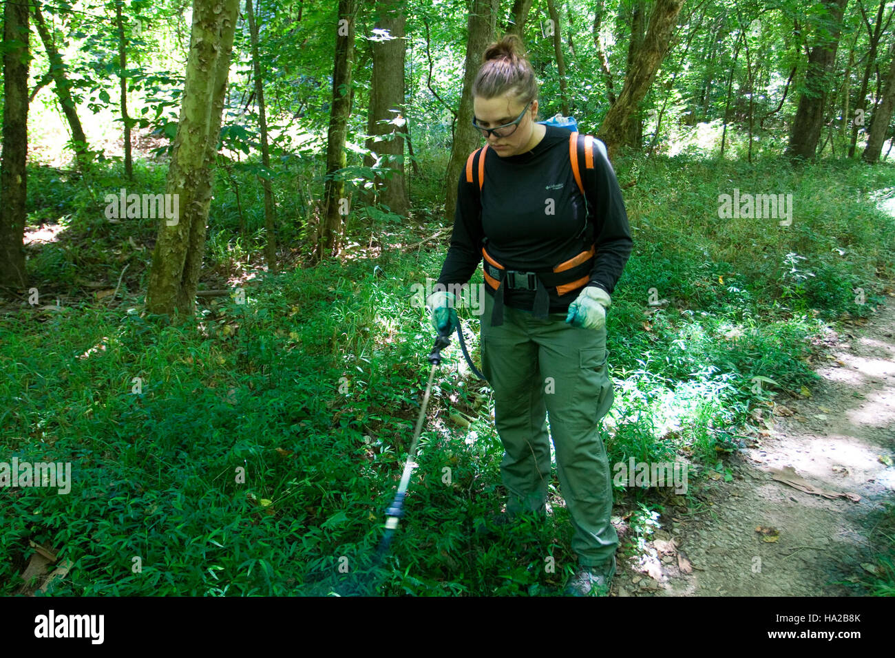 This photograph captures the beauty of Congaree National Park ...