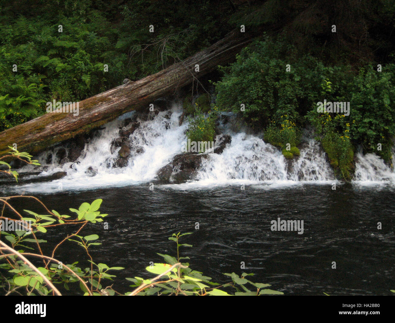 Groundwater studies hi-res stock photography and images - Alamy