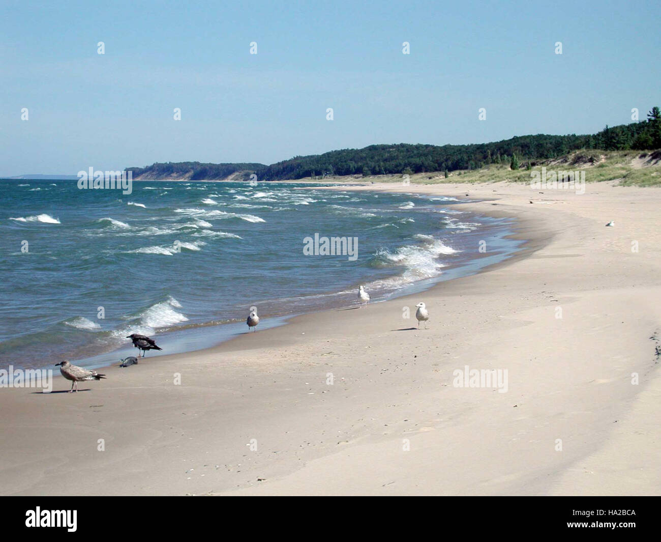 An aerial view of Lake Michiganâ€™s shoreline, capturing its natural ...