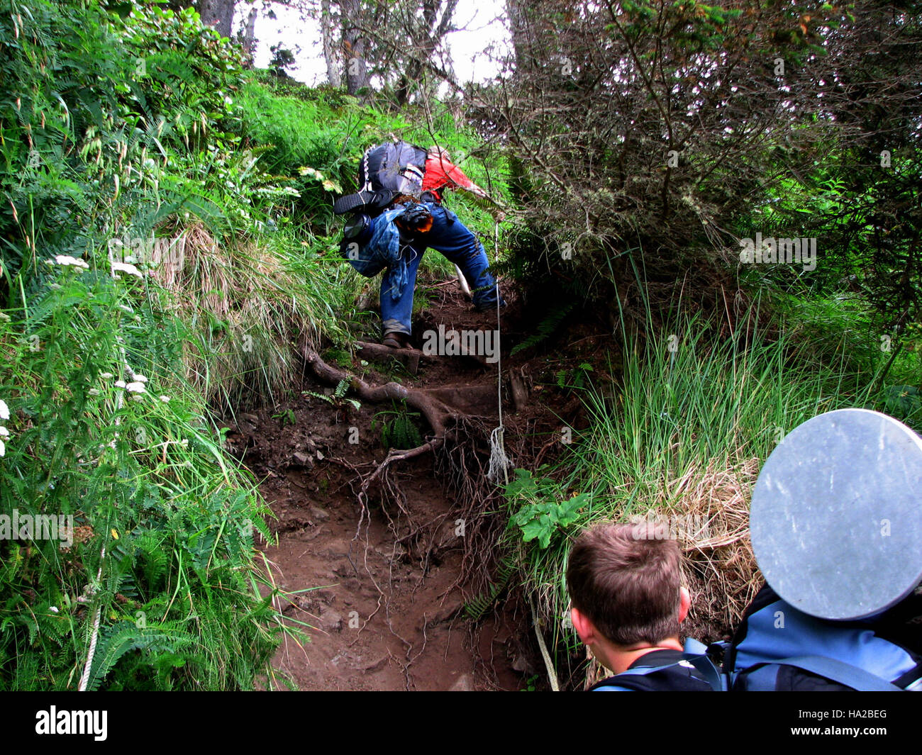 olympicnps 17345826616 backpacker climbing rope people NPS Photo Stock ...