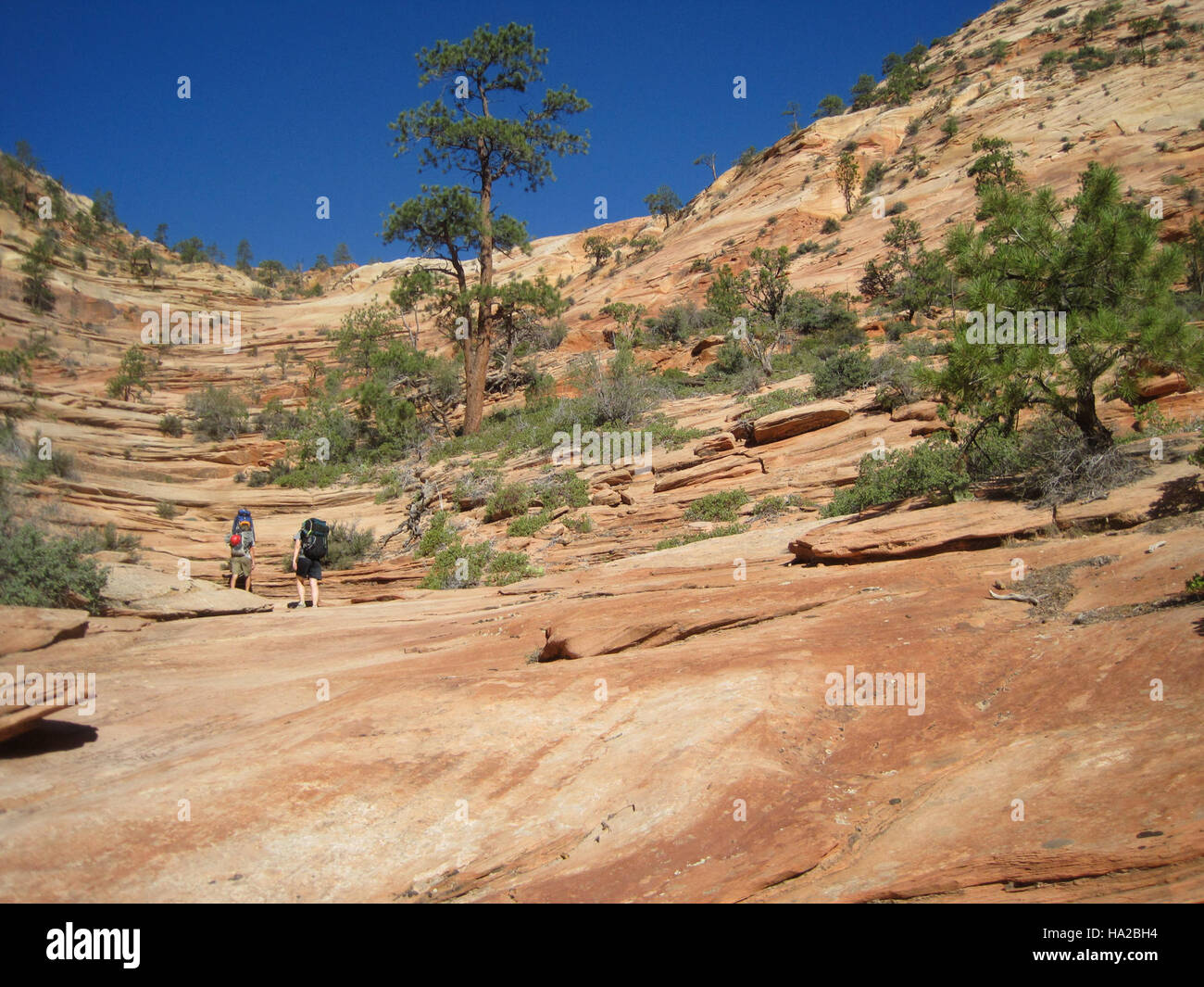 A photo of hikers traversing the Slickrock trails, showcasing the ...