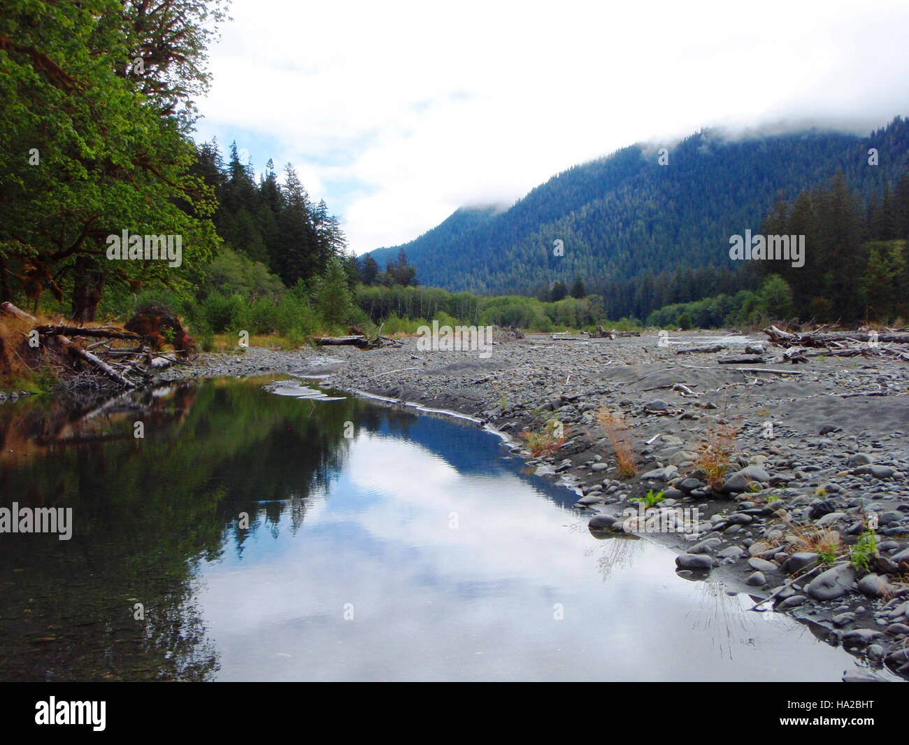 This image captures a view from the Olympic National Park in Washington ...