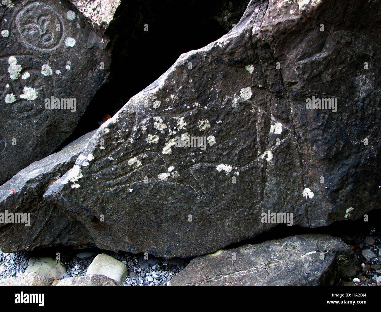 This photograph from Olympic National Park features petroglyphs on ...