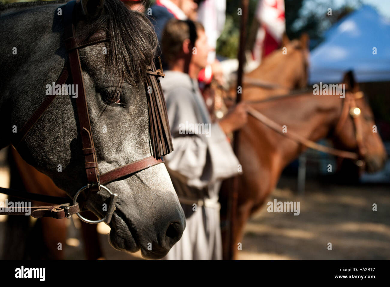 The opening of the Anza Trail exhibit in Martinez highlights the ...